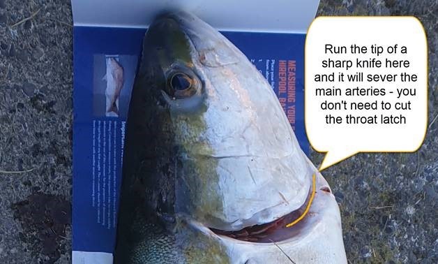 Baitmates Fishing Comp Rules, Terms and Conditions 2025 : Hirepool Forms